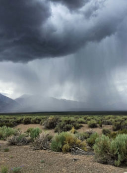 The Water Cycle and Weather Patterns - Legends of Learning