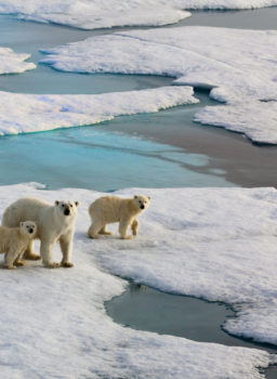 Global Climate Change - Legends of Learning