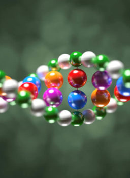 Genes and Traits - Legends of Learning